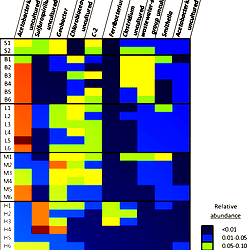 Heatmap of 10 most abundant OTUs in data set.