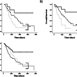 Kaplan–Meier graphs of overall survival.