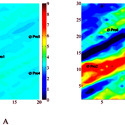 The different log-permeability distribution.