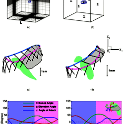 Centripetal Acceleration Reaction: An Effective and Robust Mechanism ...