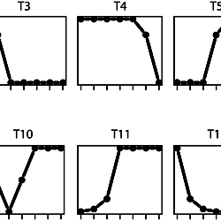 Temporal profile templates used in simulation studies.