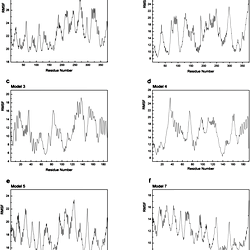 RMSF values (Å) of each models.