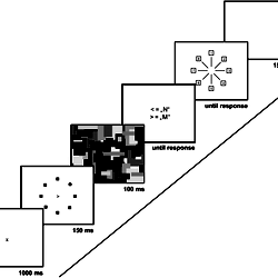 The useful-field-of-view task (UFOV).