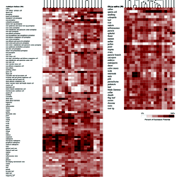In silico expression patterns of the SAGA complex genes in anatomical ...