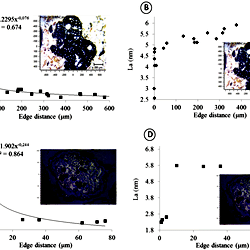 Structural disorder and size of the crystal from the periphery towards ...