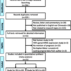 Flow chart of identification process for eligible studies