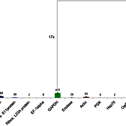 Maximum eGFP yield for all endogenous Sf21 promoters and early viral ...