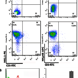 Analysis of mouse NK cells phenotype by flow cytometry.