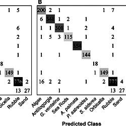 Automated classification of three-dimensional reconstructions of coral reefs using convolutional ...