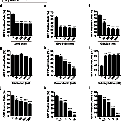 Examination of potent antivirals with GFP-reporter assays.
