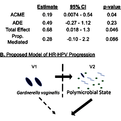 Diversity model for HPV progression with mediation analysis.