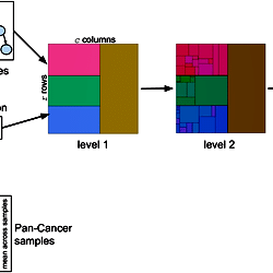 Treemapping procedure.