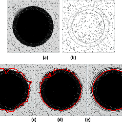 Example of weak edge preservation and noise suppression.