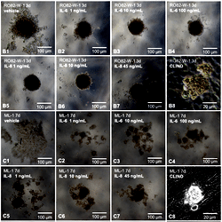 Liquid-overlay technique.