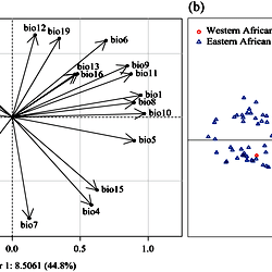 Principal component analysis (PCA) performed on 19 bioclimatic ...