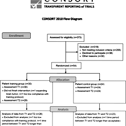 Consort statement flow chart.
