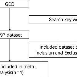 Flow chart of the processing of microarray dataset selection.