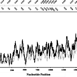 Sliding window analyses showing the nucleotide diversity based on ...