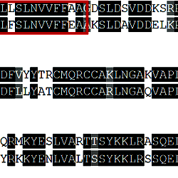 Alignment of the deduced amino acids sequence of Ts-ES-1 with a ...