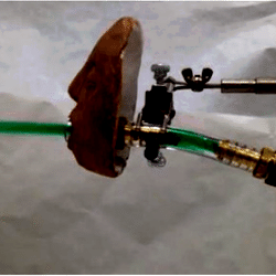 Photo of a Simulated Vomiting Episode.