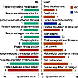 Gene Ontology (GO) categories enriched for DEGs between AIP and UIP.