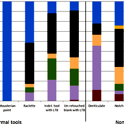 Typology according to the blank types.