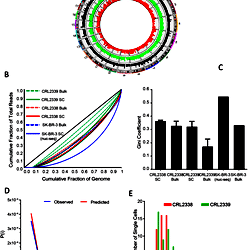 Single-cell WGS and WES of normal and cancer cells derived from the ...