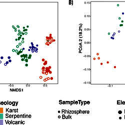 Beta diversity plots.