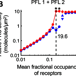 PFL 2 confers less responsiveness than PFL 1, but the two can synergize ...