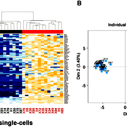 Heat map combined with the hierarchical clustering analysis of G64 ...