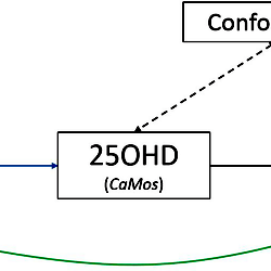 Schematic representation of Mendelian randomization analysis.