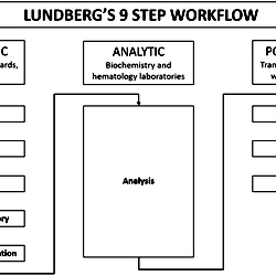 Laboratory workflow process.