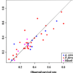 Observed versus expected survival rates.