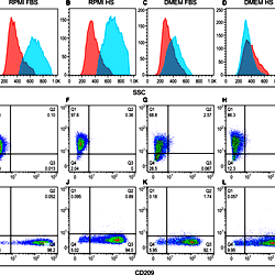 A protocol for rapid monocyte isolation and generation of singular ...
