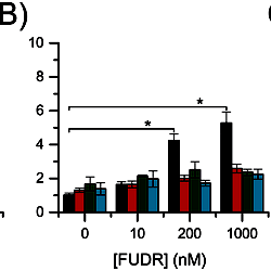 Detection of AP sites in DNA isolated from FUDR treated DLD1 cells.