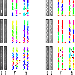 DeLTA: Automated cell segmentation, tracking, and lineage reconstruction using deep learning