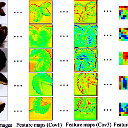 The corresponding feature maps of Conv1 and Conv5 for ZP.