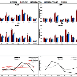 Validation of the most stable reference genes.