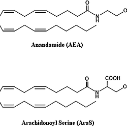 Structure of EC and EC-like compounds.