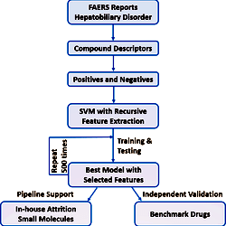 Flowchart of the SVM model.