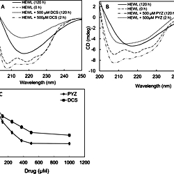 Far-UV CD measurements.