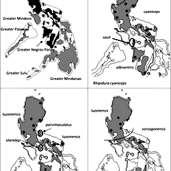 Map of the Philippines showing the limits to Pleistocene Aggregates ...