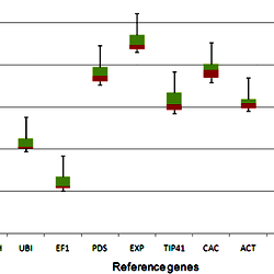 Cycle of quantification (Cq) values distribution of candidate reference ...