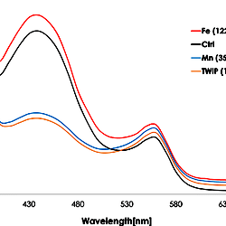 Full visible spectrum of the formazan dye formed in the presence of ...