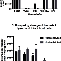 Quantifying the effect of short-term storage on bacterial viability.