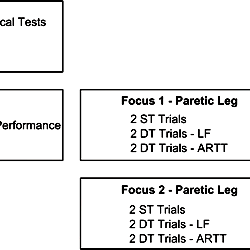 Measurement protocol.