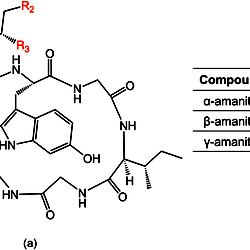 Chemical structures of the amatoxin variants examined in this paper.