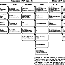 Comparison among various CLIP-seq methods.