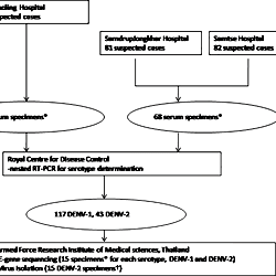 Flow chart demonstrating the process of specimen collection and analysis.
