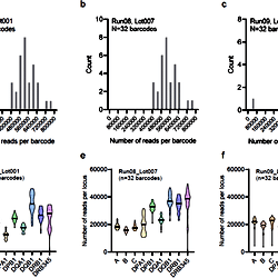 Distribution of the number of reads per sample and per locus.